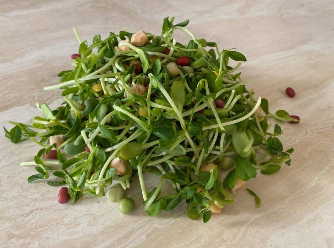Are Sprouts Good for Diabetes? Benefits, Best Types, and Blood Sugar ...